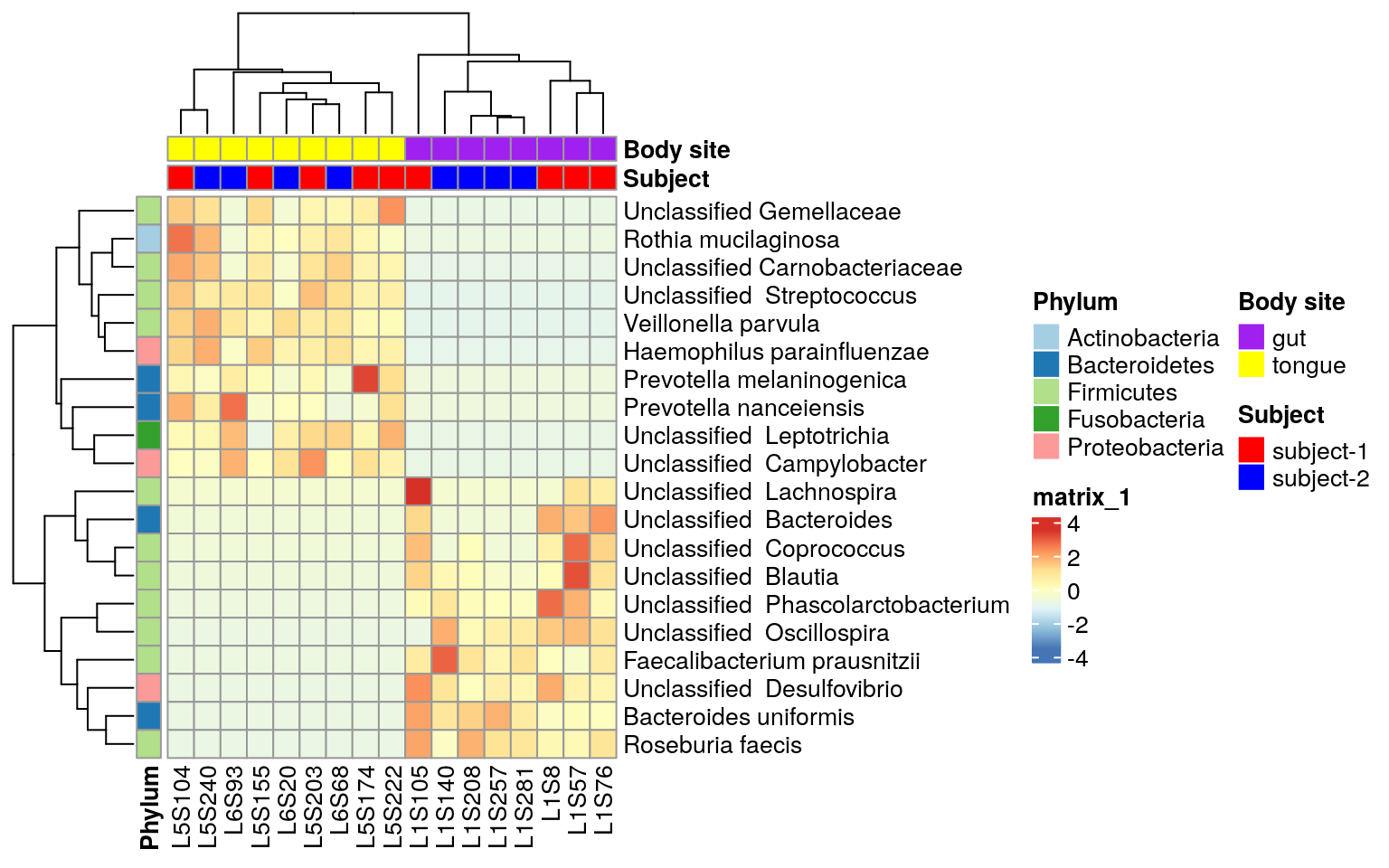 Tutorial For Microbiome Analysis In R Yan Hui